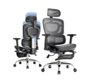 Best Ergonomic Office Chair